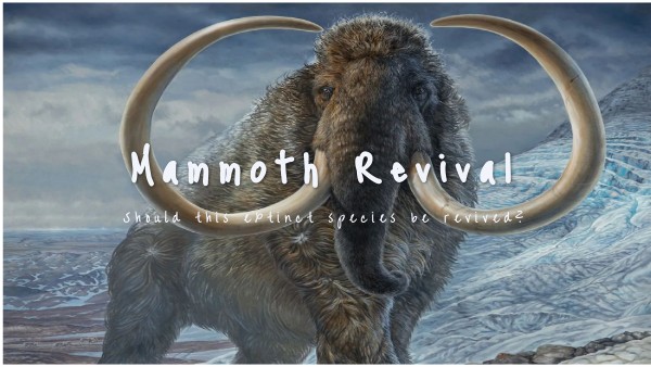 Mammoth Project