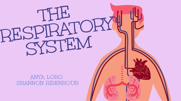 Human Body Presentation | Genially