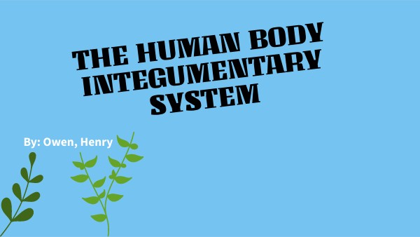 Human Body Presentation