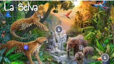 Imagen interactiva Selva
