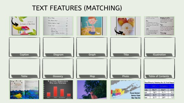 Text Features Matching