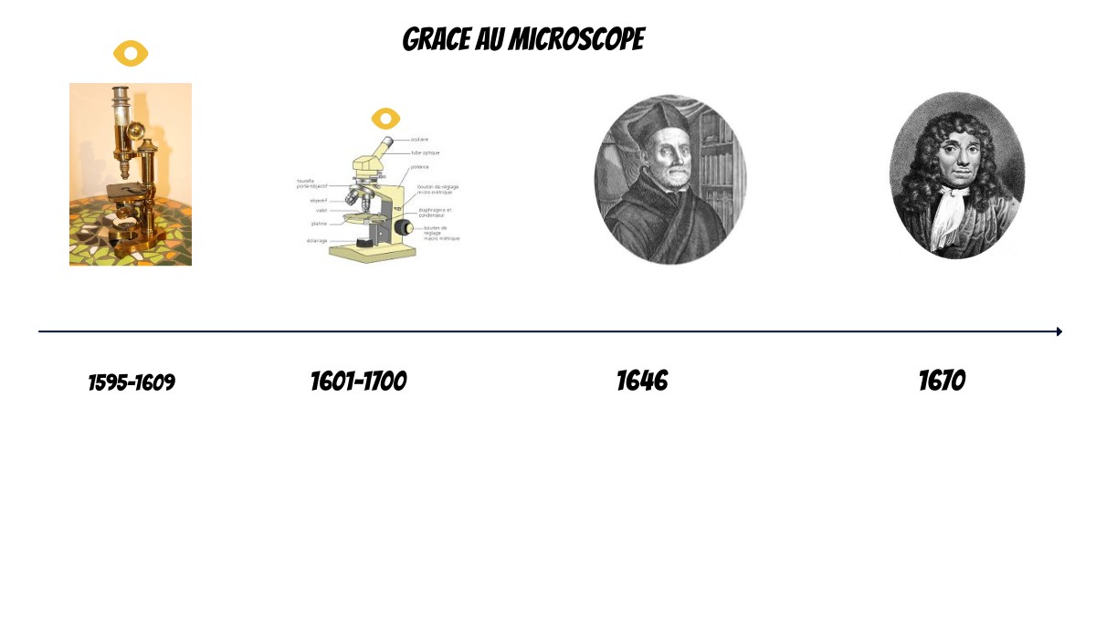 Présentation chronologique du microscope | Genially