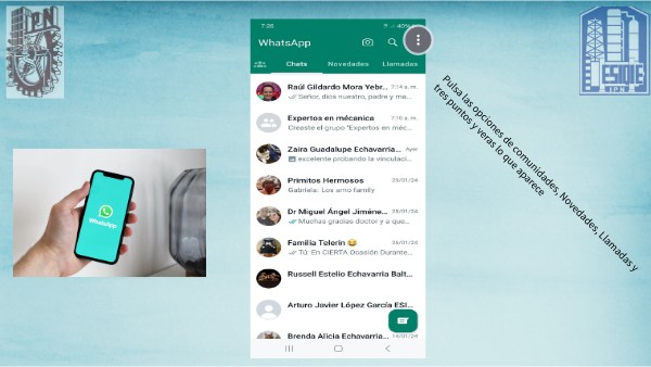 elementos del WhatsApp