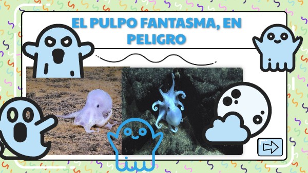 El pulpo fantasma, en peligro. | Genially
