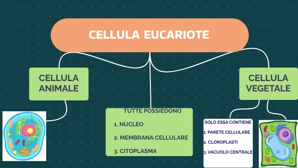Mappa Mentale CELLULA EUCARIOTE