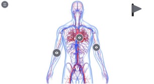 Aparato Cardiovascular | Genially