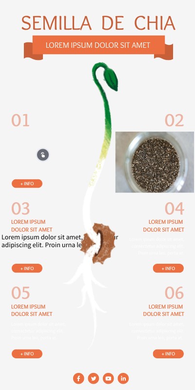 Lista Semilla | Genially