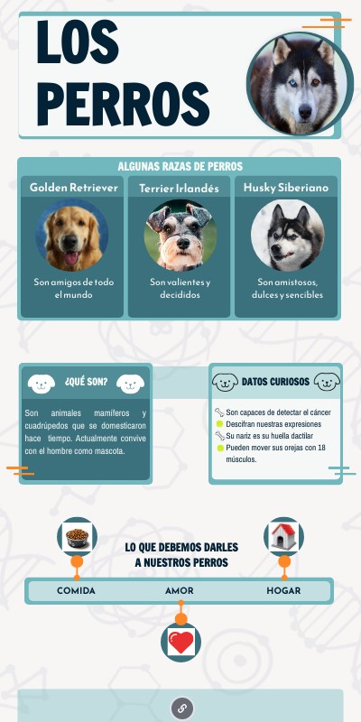 INFOGRAFÍA PERROS | Genially