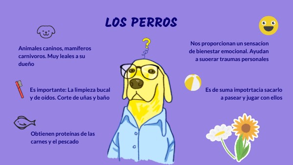 INFOGRAFÍA PERROA | Genially