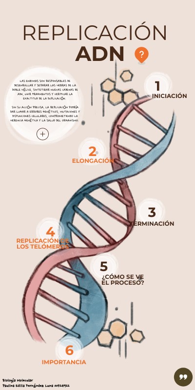 REPLICACIÓN ADN | Genially
