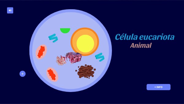 Célula eucariota animal | Genially