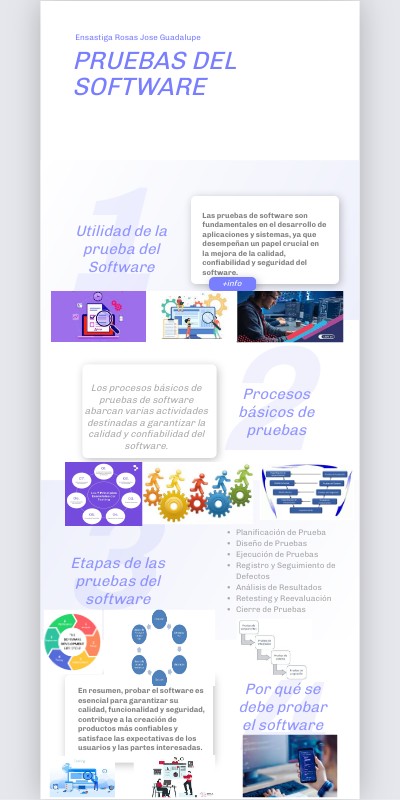 PRUEBAS DEL SOFTWARE | Genially