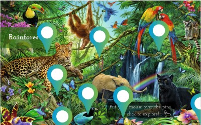 Rainforest | Genially