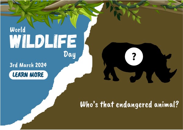 Javan Rhino | Genially