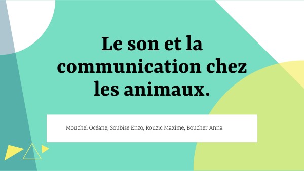 Diapo_Communication_Animale_Texte | Genially