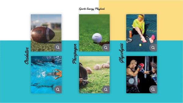 Sports Energy Playbook