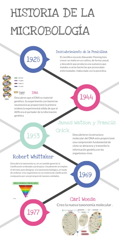 LINEA DEL TIEMPO | Genially