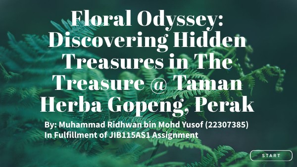 JIB115 MUHAMMAD RIDHWAN 22307385