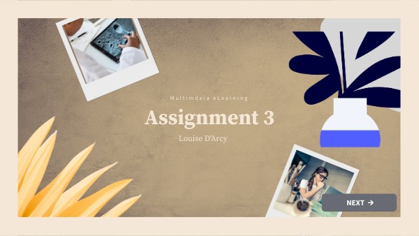 Branching scenarios assignment 3 Louise D'Arcy