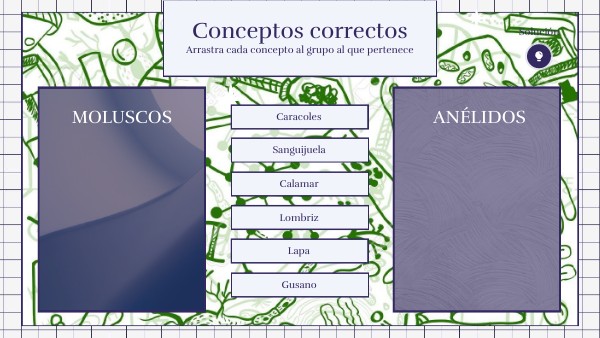 Conceptos Correctos