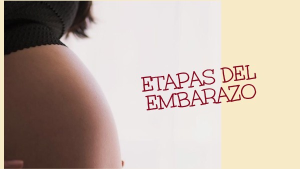 Etapas del embarazo | Genially