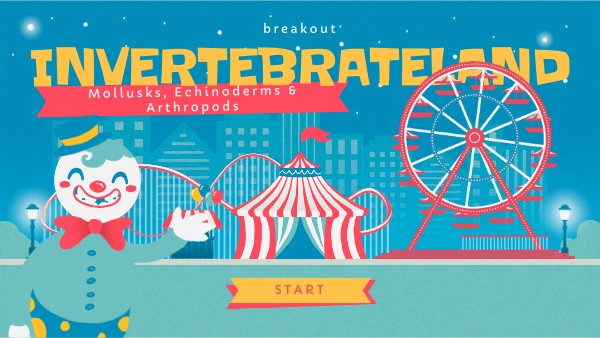 BREAKOUT GENIALLYLAND