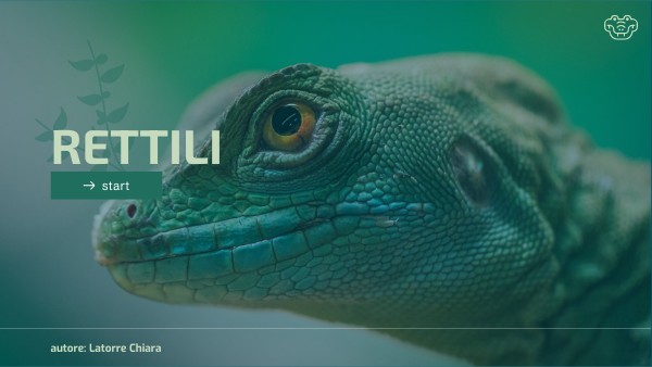 I rettili | Genially