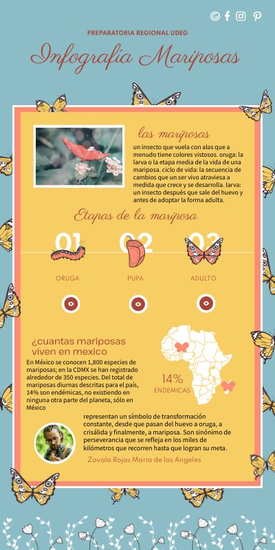 INFOGRAFIA DE LAS MARIPOSAS | Genially