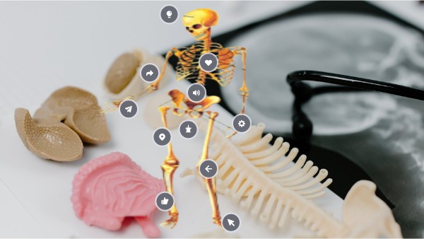 esqueleto noemi villa | Genially