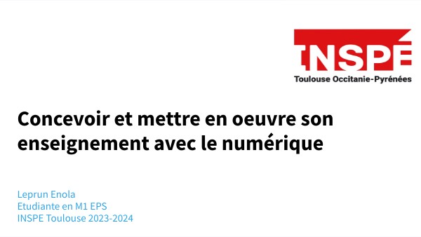 Portfolio Numérique S8 2023-2024