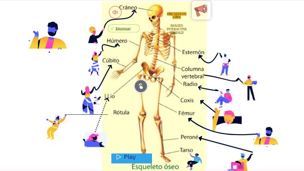 ESQUELETO OSEO INTERACTIVO | Genially