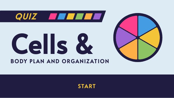 Body planes and cells