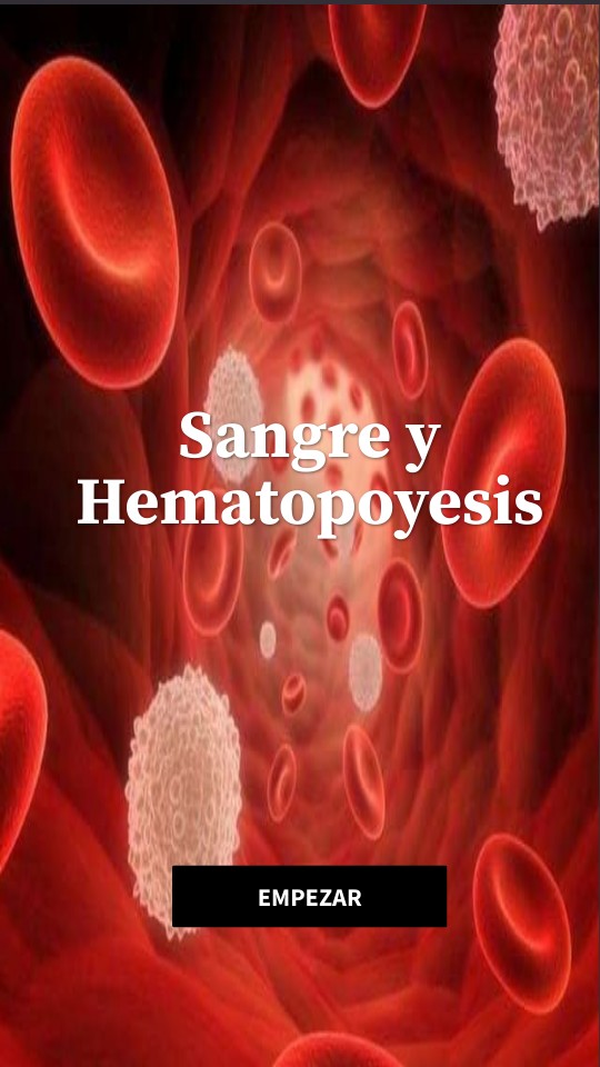 Sangre y Hematopoyesis | Genially