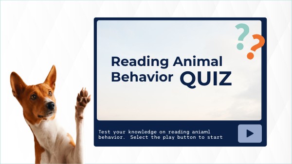 Reading Animal Behavior | Genially