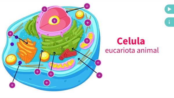 Interactive cell poster | Genially