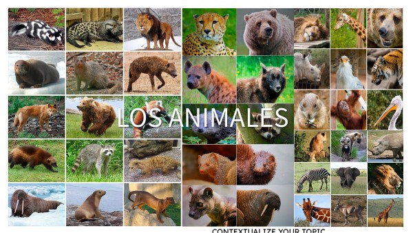 Los animales