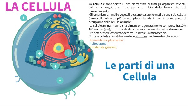 Poster interattivo cellula