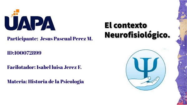 El contexto neurofisiólogico