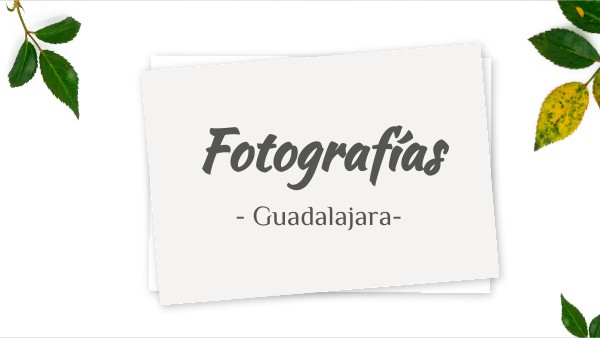 presentacion proulex