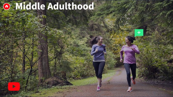 Middle Adulthood | Genially