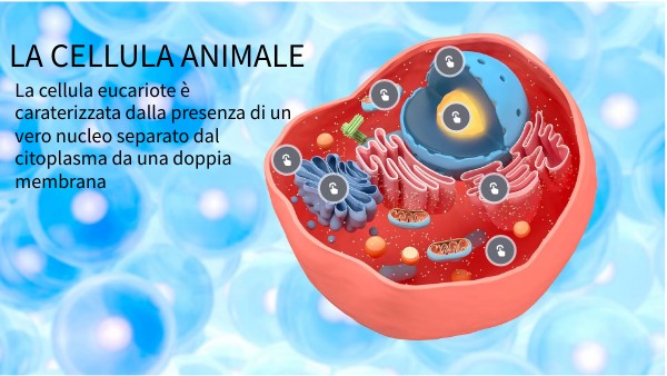 la cellula animale | Genially