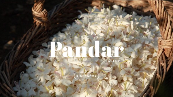 PANDAR PARFUM - JC