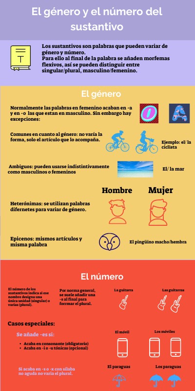 El género y el número del sustantivo | Genially