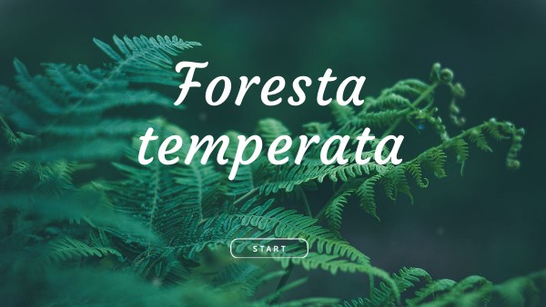 NATURE PRESENTATION | Genially