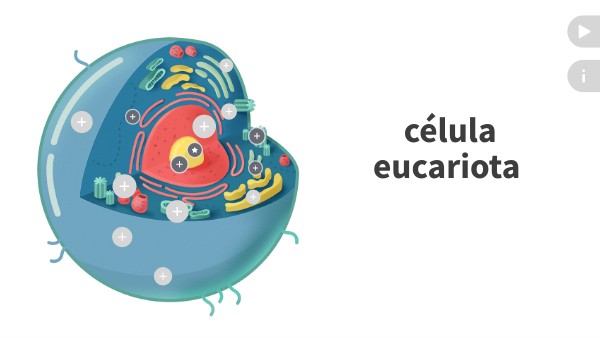 celula eucariota | Genially
