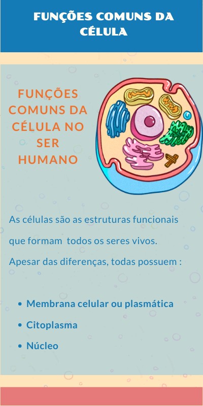 INFO VERTICAL CÉLULAS | Genially