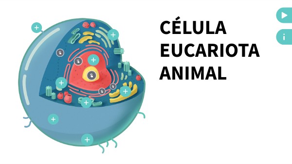 Modelo tridimensional de la célula eucariota | Genially