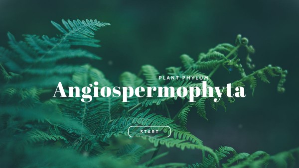 Angiospermophyta | Genially