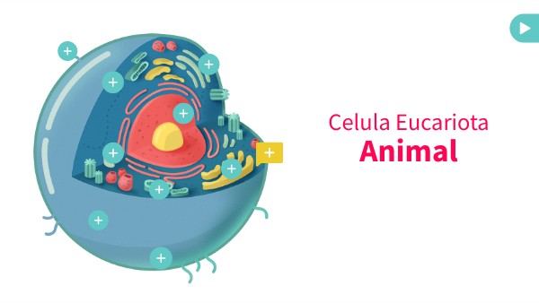 Célula Eucariota Animal | Genially