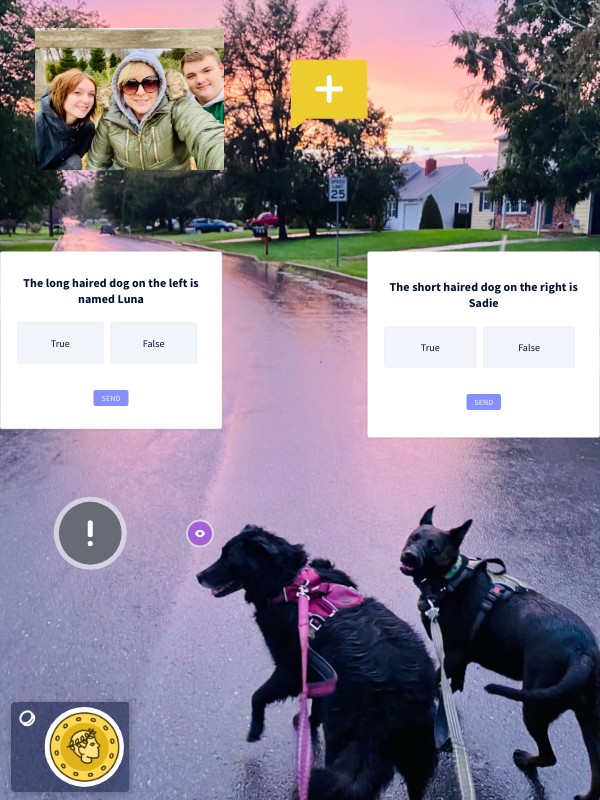 test for eric faden class